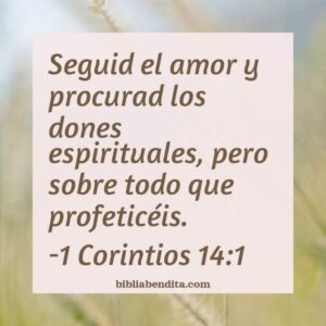 Explicación 1 Corintios 14:1. 'Seguid el amor y procurad los dones espirituales, pero sobre todo ...