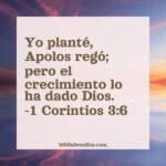 Explicación 1 Corintios 3:6. 'Yo planté, Apolos regó; pero el crecimiento lo ha dado Dios ...