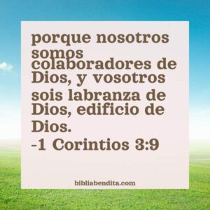 Explicación 1 Corintios 3:9. 'porque nosotros somos colaboradores de Dios, y vosotros sois ...