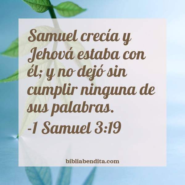 Explicaci n 1 Samuel 3 19 Samuel Crec a Y Jehov Estaba Con l Y No