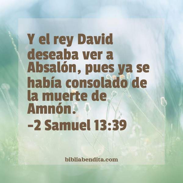 Explicaci n 2 Samuel 13 39 Y El Rey David Deseaba Ver A Absal n Pues