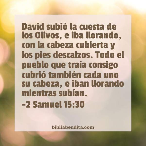 Explicaci n 2 Samuel 15 30 David Subi La Cuesta De Los Olivos E Iba