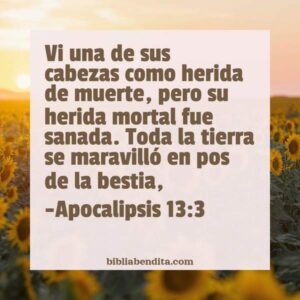 Explicación Apocalipsis 13 3 Vi Una De Sus Cabezas Como Herida De