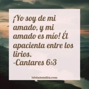 Explicación Cantares 6:3. '¡Yo soy de mi amado, y mi amado es mío! Él apacienta entre los lirios ...