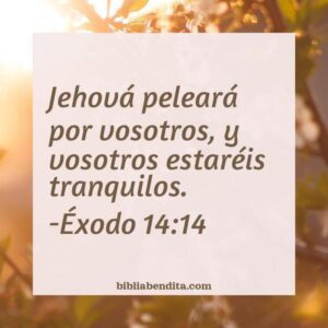 Explicación Éxodo 14:14. 'Jehová peleará por vosotros, y vosotros ...