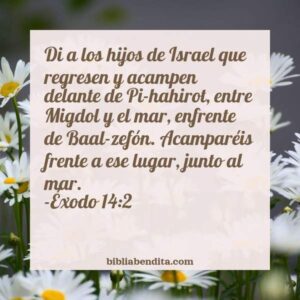 Explicación Éxodo 14:2. 'Di a los hijos de Israel que regresen y ...