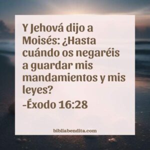 Explicación Éxodo 16:28. 'Y Jehová dijo a Moisés: -¿Hasta cuándo os ...
