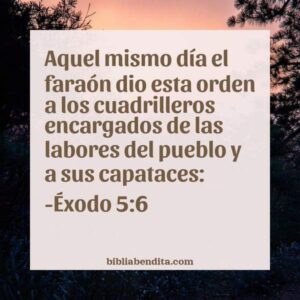 Explicación Éxodo 5:6. 'Aquel mismo día el faraón dio esta orden a los ...