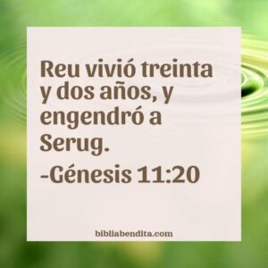 Explicación Génesis 11:20. 'Reu vivió treinta y dos años, y engendró a ...