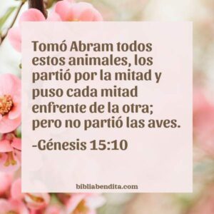 Explicación Génesis 15:10. 'Tomó Abram todos estos animales, los partió ...