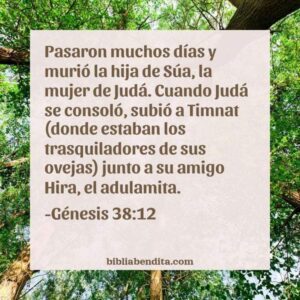 Explicación Génesis 38:12. 'Pasaron muchos días y murió la hija de Súa ...