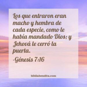 Explicación Génesis 7:16. 'Los que entraron eran macho y hembra de cada ...