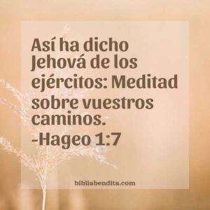 Explicación Hageo 1:7. 'Así ha dicho Jehová de los ejércitos: Meditad ...