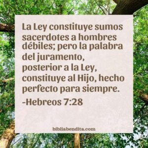 Explicación Hebreos 12:15. 'Mirad bien, para que ninguno deje de ...