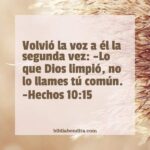Explicación Hechos 10:15. 'Volvió la voz a él la segunda vez: -Lo que ...