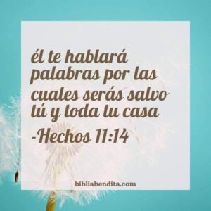 Explicación Hechos 11:14. 'él te hablará palabras por las cuales serás ...