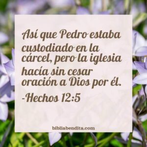 Explicación Hechos 12:5. 'Así que Pedro estaba custodiado en la cárcel ...