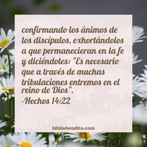 Explicación Hechos 14:22. 'confirmando los ánimos de los discípulos, exhortándolos a que ...