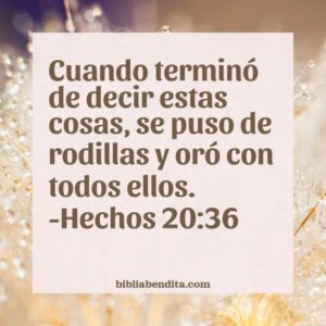 Explicación Hechos 20:36. 'Cuando terminó de decir estas cosas, se puso ...