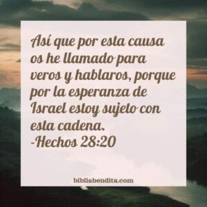 Explicación Hechos 28:20. 'Así que por esta causa os he llamado para ...