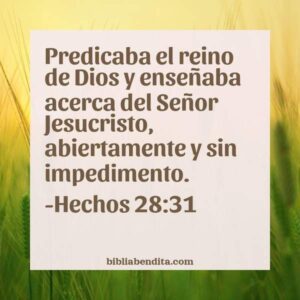 Explicación Hechos 28:31. 'Predicaba el reino de Dios y enseñaba acerca ...