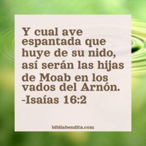 Explicación Isaías 16:2. 'Y cual ave espantada que huye de su nido, así ...