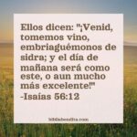 Explicación Isaías 56:12. 'Ellos dicen: "¡Venid, tomemos vino ...