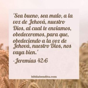 Explicación Jeremías 42:6. 'Sea bueno, sea malo, a la voz de Jehová ...