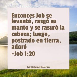 Explicación Job 1:20. 'Entonces Job se levantó, rasgó su manto y se ...