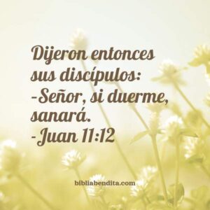 Explicación Juan 11:12. 'Dijeron entonces sus discípulos: -Señor, si ...