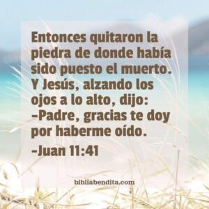 Explicación Juan 11:41. 'Entonces quitaron la piedra de donde había ...