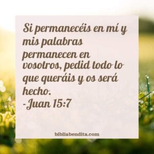 Explicación Juan 15:7. 'Si permanecéis en mí y mis palabras permanecen ...