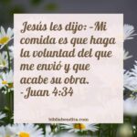 Explicación Juan 4:34. 'Jesús les dijo: -Mi comida es que haga la ...