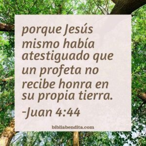 Explicación Juan 4:44. 'pues Jesús mismo dio testimonio de que al ...