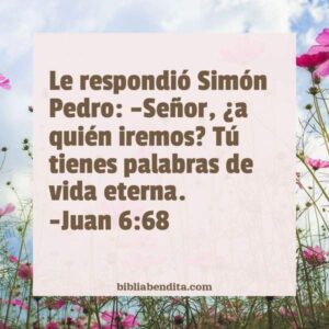 Explicación Juan 6:68. 'Le respondió Simón Pedro: -Señor, ¿a quién ...