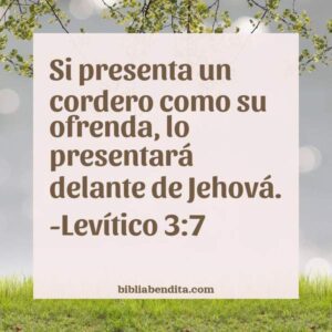 Explicación Levítico 3:7. 'Si presenta un cordero como su ofrenda, lo ...