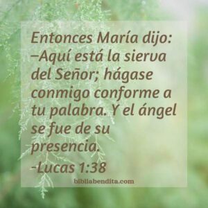 Explicación Lucas 1:38. 'Entonces María dijo: -Aquí está la sierva del ...