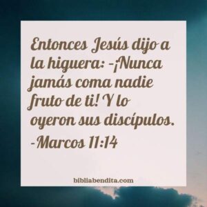 Explicación Marcos 11:14. 'Entonces Jesús dijo a la higuera: -¡Nunca jamás coma nadie fruto de ...