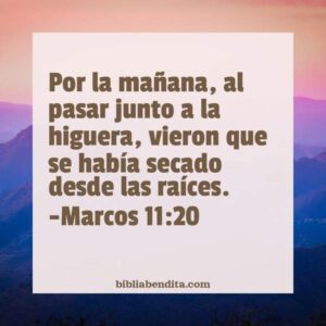 Explicación Marcos 11:20. 'Por la mañana, al pasar junto a la higuera, vieron que se había ...
