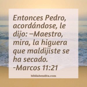 Explicación Marcos 11:21. 'Entonces Pedro, acordándose, le dijo: -Maestro, mira, la higuera que ...