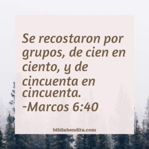 Explicación Marcos 6:40. 'Se recostaron por grupos, de ciento en ciento ...