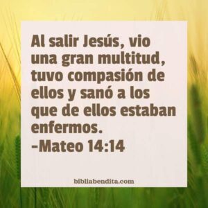 Explicación Mateo 14:14. 'Al salir Jesús, vio una gran multitud, tuvo ...