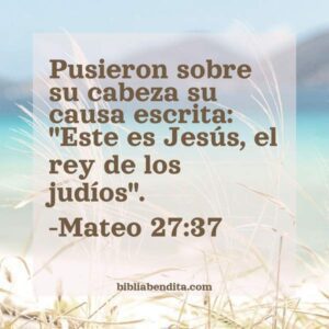 Explicación Mateo 27:37. 'Pusieron sobre su cabeza su causa escrita ...