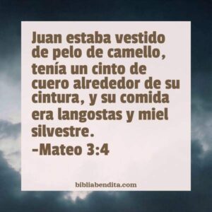 Explicación Mateo 3:4. 'Juan estaba vestido de pelo de camello, tenía ...