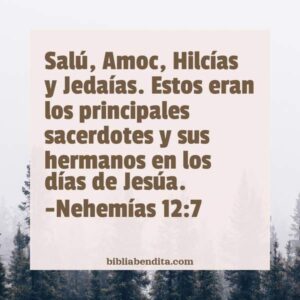 Explicación Nehemías 12:7. 'Salú, Amoc, Hilcías y Jedaías. Estos eran ...