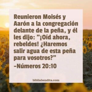 Explicación Números 20:10. 'Reunieron Moisés y Aarón a la congregación ...