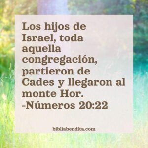 Explicación Números 20:22. 'Los hijos de Israel, toda aquella ...