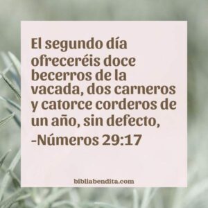 Explicación Números 29:17. 'El segundo día ofreceréis doce becerros de ...