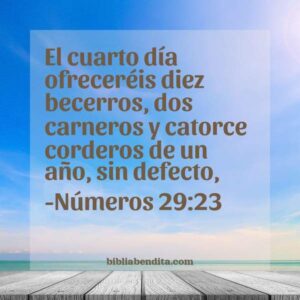 Explicación Números 29:23. 'El cuarto día ofreceréis diez becerros, dos ...