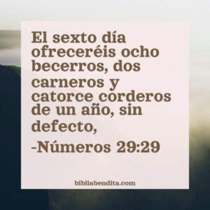 Explicación Números 29:29. 'El sexto día ofreceréis ocho becerros, dos ...